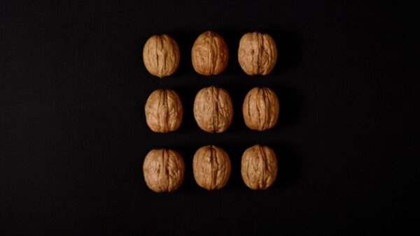 Black Walnut Shell Powder - Benefits, Uses, and Applications